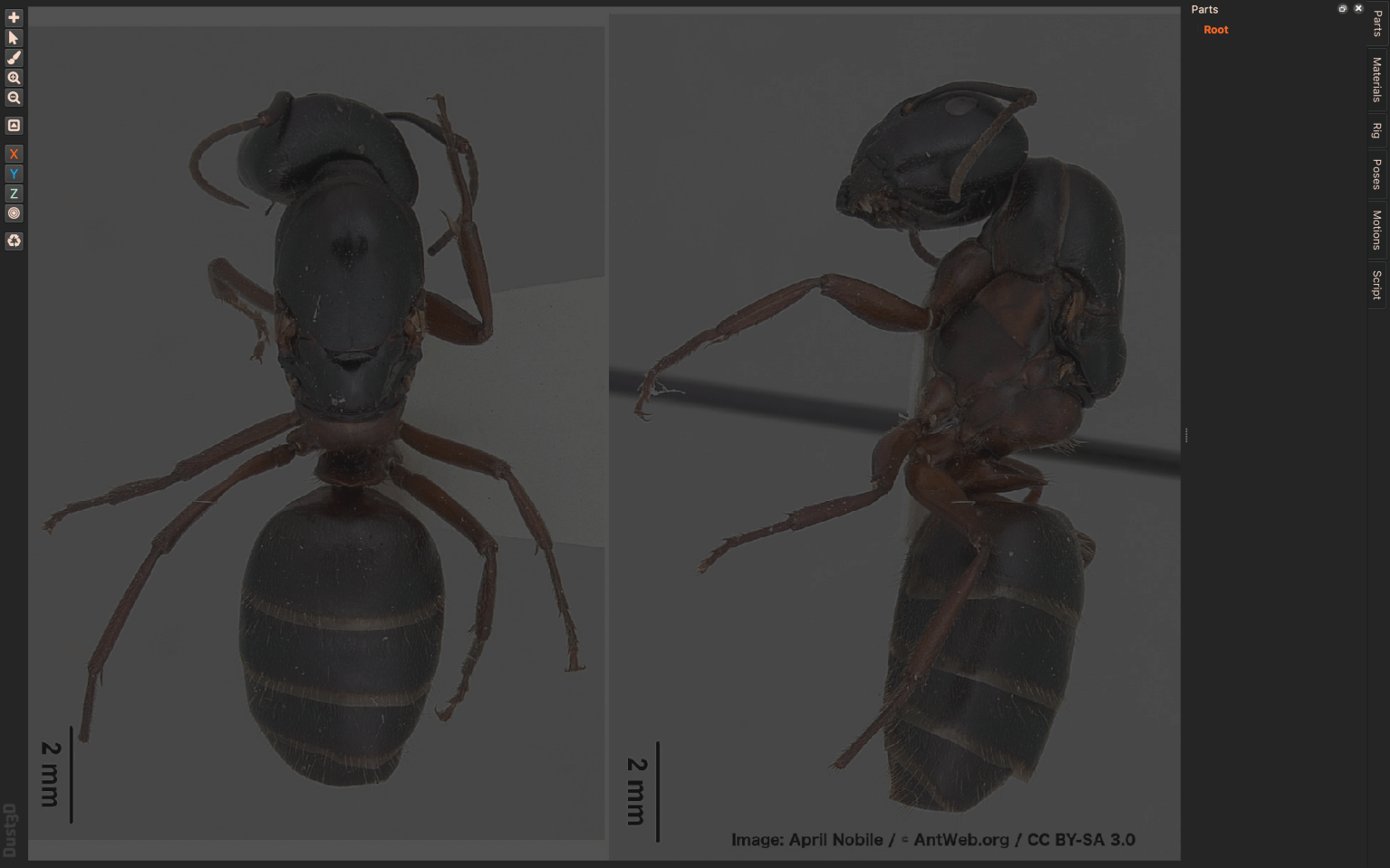How to download Dust3D and use it to model circles side by side | STYLY