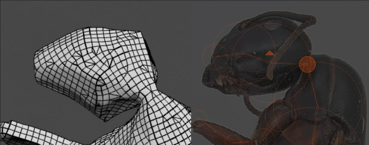 How to download Dust3D and use it to model circles side by side | STYLY