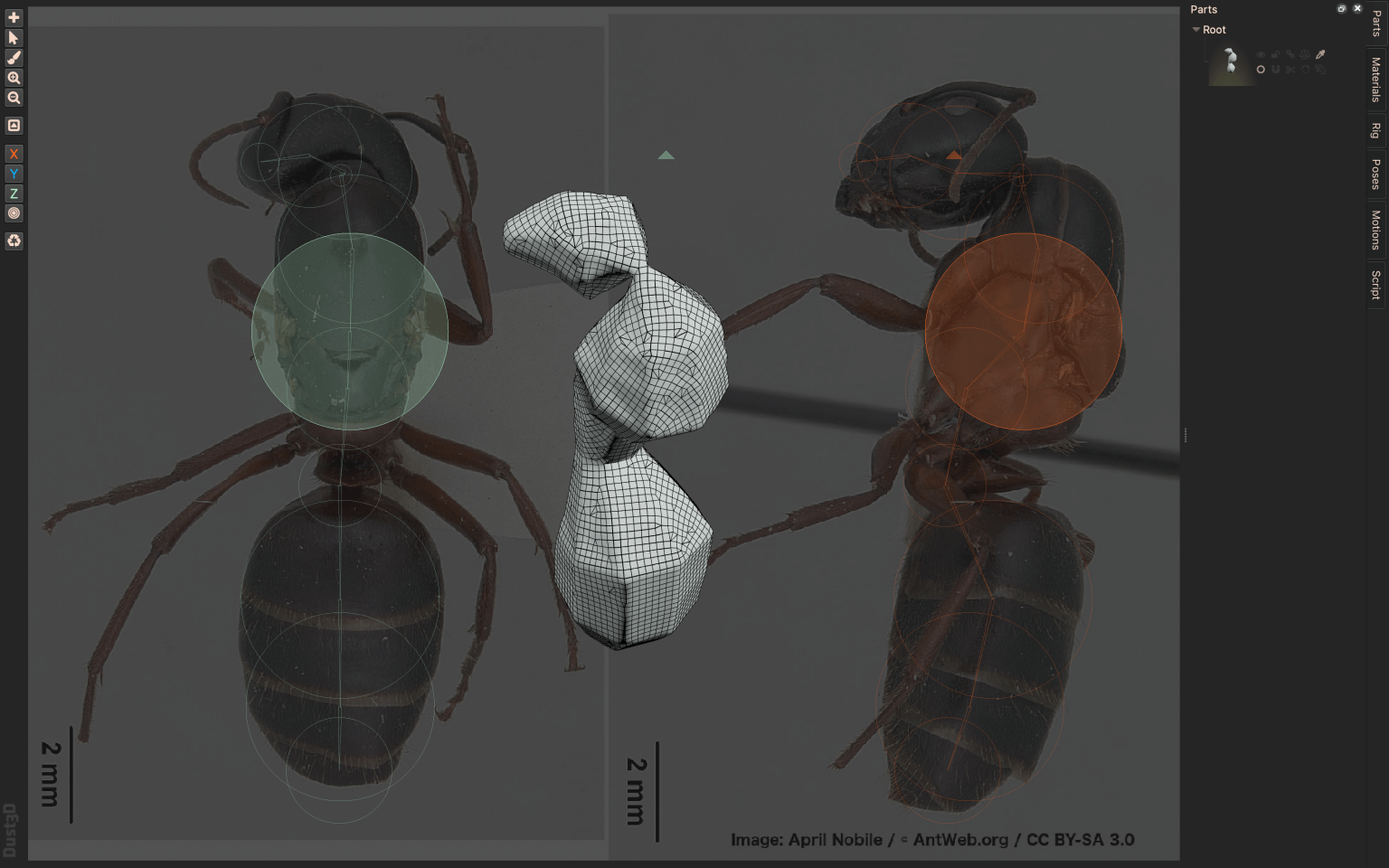 How to download Dust3D and use it to model circles side by side | STYLY