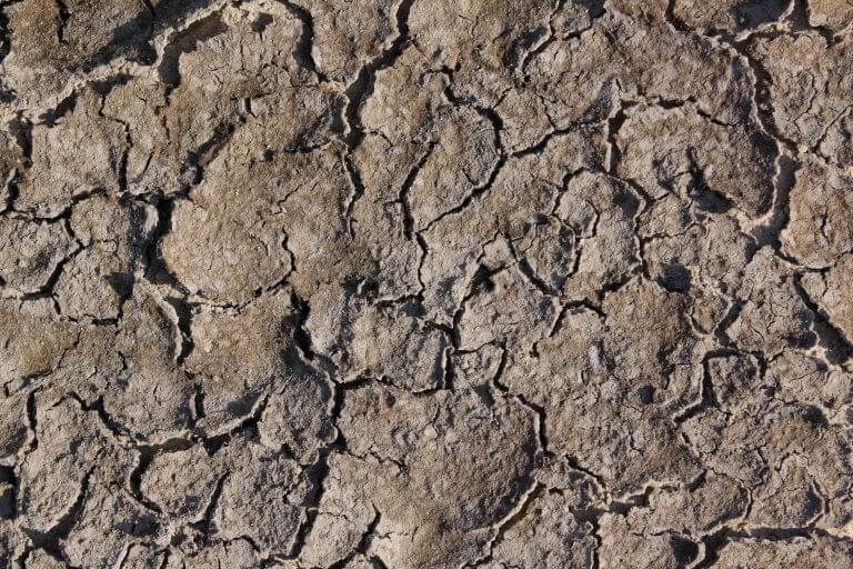 [Blender] Understanding Bump Maps and Normal Maps | STYLY