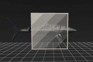 [Unity] How to make an Object Transparent- STYLY